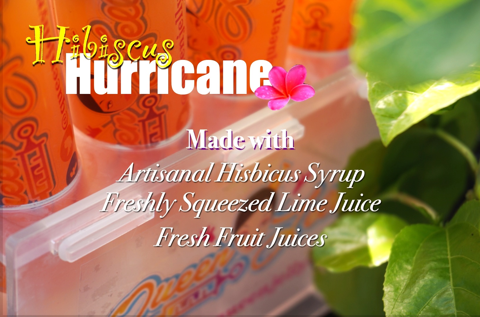 Hear it Straight from Our Happy Customers